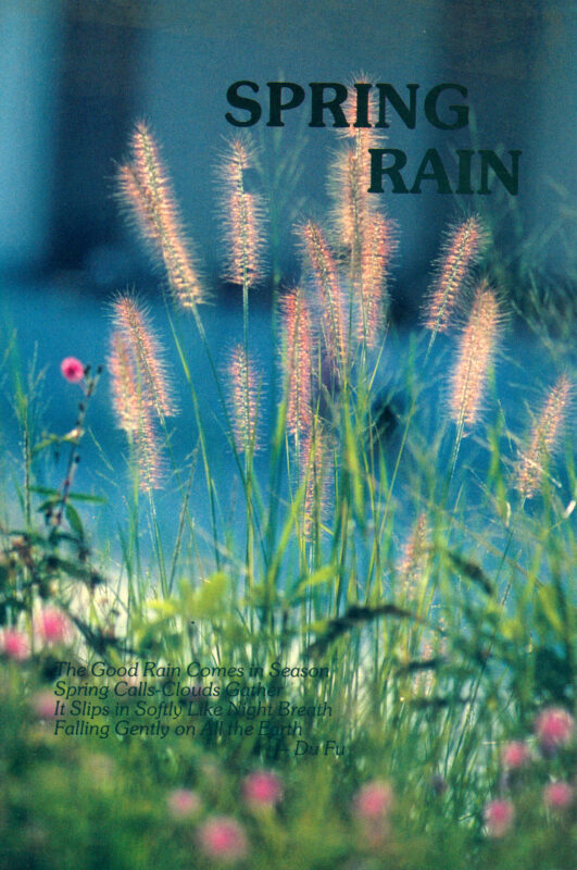 Spring Rain - 聖神研究中心 Holy Spirit Study Centre